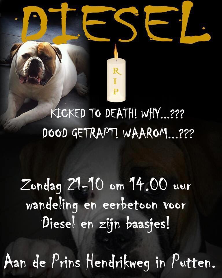 Stille tocht in Putten voor dode hond | de Volkskrant