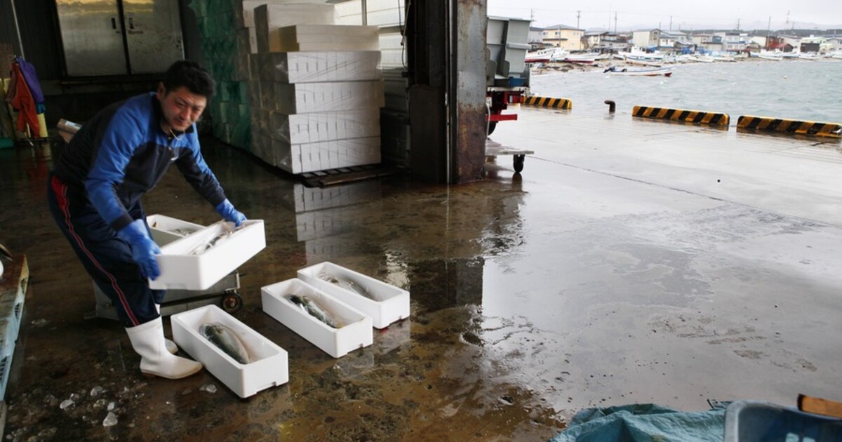 Enorm radioactieve vis gevangen bij Fukushima | de Volkskrant