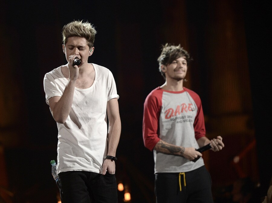 Wereld viert 1D Day met livestream | de Volkskrant